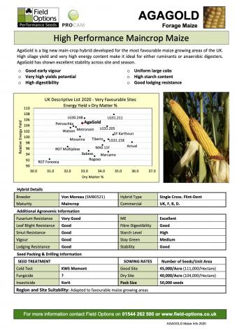 Agagold | Field Options
